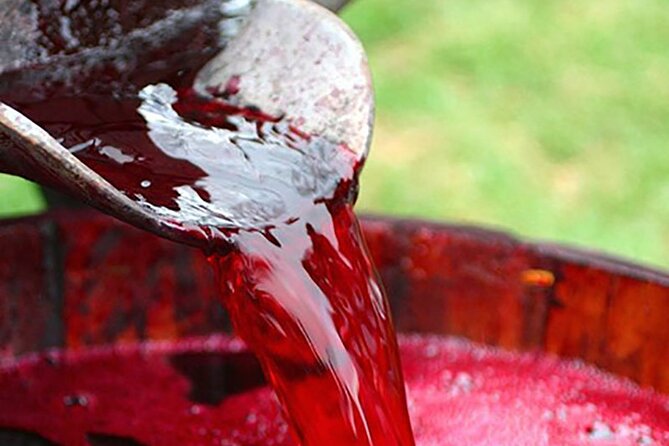 Florence: Wine Making Private Experience In a Vineyard in Tuscany - An Authentic and Personal Look at Tuscany Winemaking