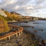 Flowers Of The Forest, Câmara de Lobos 4x4 Jeep Tour - Standing on the Edge: Cabo Girão Skywalk