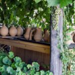 Following Naxian Pottery tradition & Visit Halki village - Why This Tour Offers Genuine Value