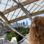 Fondation Louis Vuitton: Ticket Entry & Private Tour - Detailed Breakout of the Itinerary