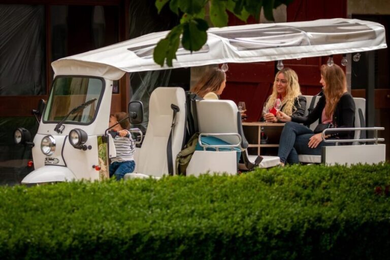 Fondue and wine private Tuk Tuk tour in Geneva - An In-Depth Look at the Itinerary