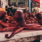 Food Tour at the Vucciria Market  Palermo - How to Get the Most Out of This Tour
