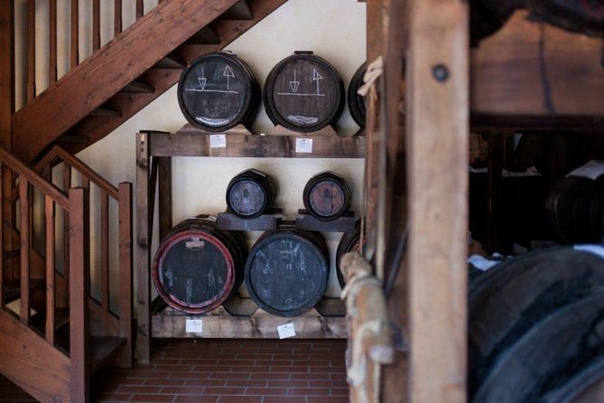 Food Tour: Parmigiano, Balsamic, Red Wine, lunch,transport - The Sum Up