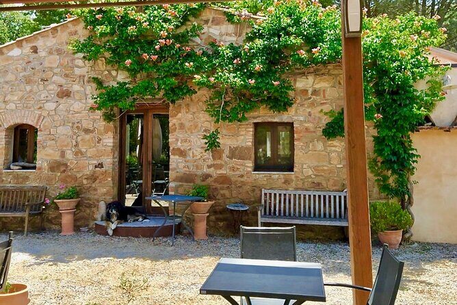 FOODIES DELIGHT and SICILIAN VILLAGE Private Exclusive Tour from Palermo - What’s Included and What’s Not