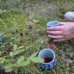 Forest Bathing in Stockholm nature with certified guide - Detailed Breakdown of the Itinerary