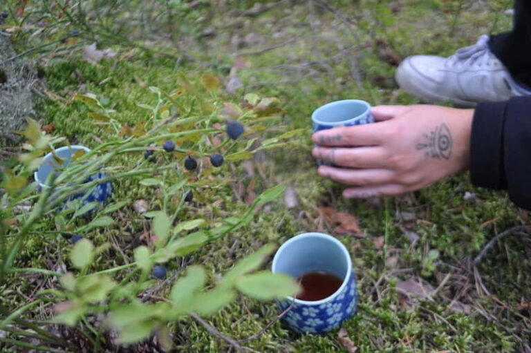 Forest Bathing in Stockholm nature with certified guide - Detailed Breakdown of the Itinerary