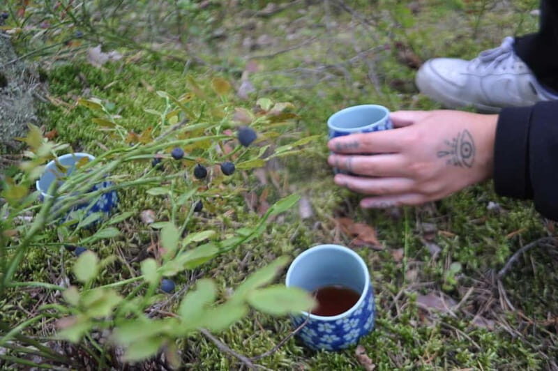 Forest Bathing in Stockholm nature with certified guide - Detailed Breakdown of the Itinerary