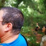 Forest Baths - Shinrin Yoku Therapeutic, in Celtic sacred forests - The Experience in Action: What the Day Looks Like