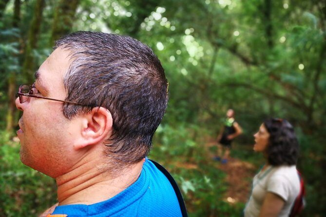 Forest Baths - Shinrin Yoku Therapeutic, in Celtic sacred forests - The Experience in Action: What the Day Looks Like