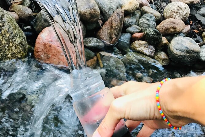 Forestbathing Slow Walking and Healing Spring Water, Stockholm - Key Points