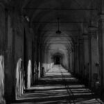 Forgotten Souls: The Collegno Asylum and Its Secrets - Nature and Reflection in Carlo Alberto Dalla Chiesa Park