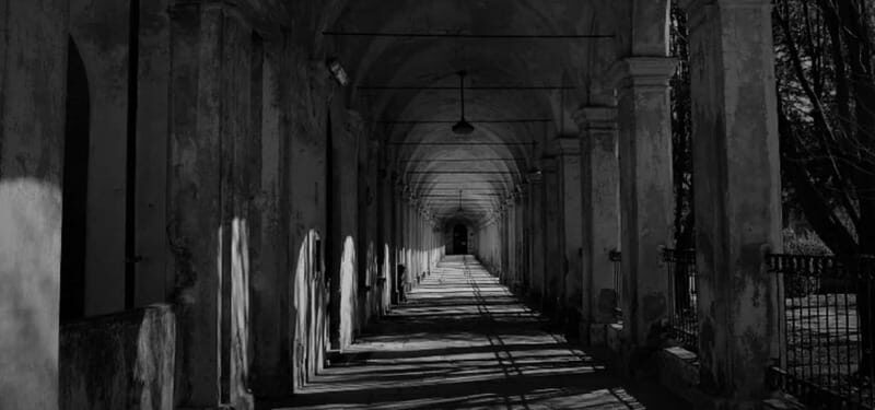 Forgotten Souls: The Collegno Asylum and Its Secrets - Nature and Reflection in Carlo Alberto Dalla Chiesa Park