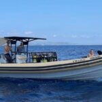 Formentera Natural Park: Snorkeling Experience - What Makes This Snorkeling Tour Stand Out?