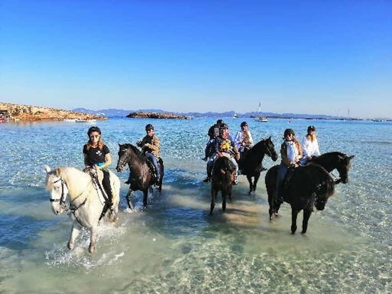 Formentera: Private Horseback Ride with Pick-up on Beach - Who Will Love This Tour?