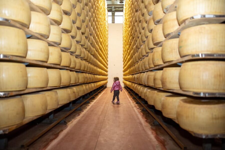 Formigine: Parmesan cheese tour with full tasting - Practical Details and Tips