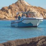 Fornells: 3-Hour Boat Tour Along Menorcan Coast - The Experience on Board