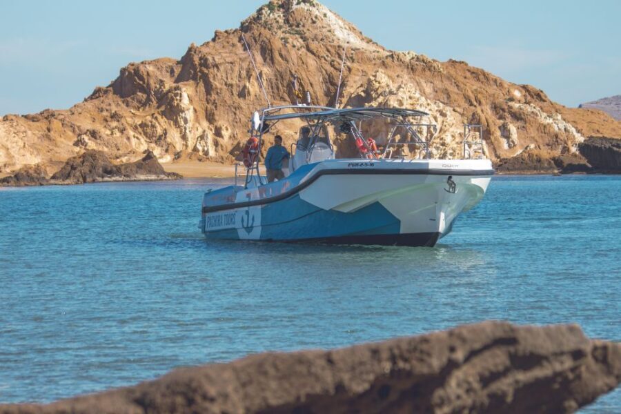 Fornells: 3-Hour Boat Tour Along Menorcan Coast - The Experience on Board