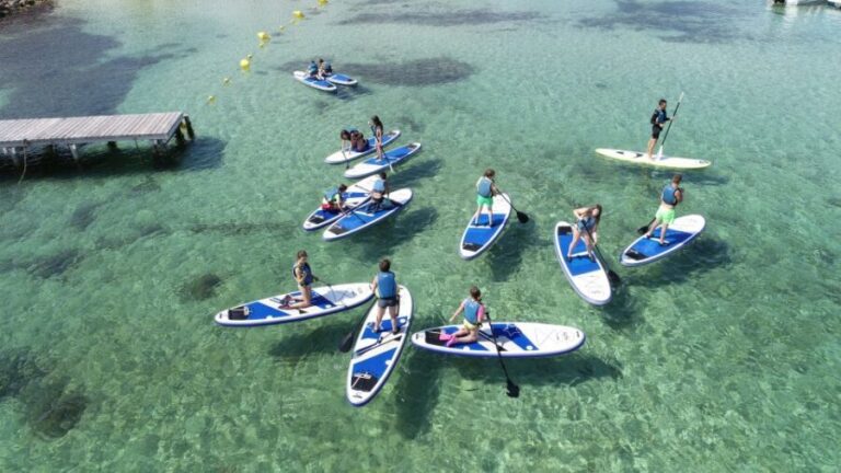 Fornells Bay: 2-Hour Stand-Up Paddle Excursion - Breaking Down the Itinerary and Highlights