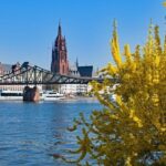 Frankfurt: Classic Public Walking Tour - Exploring Frankfurts Highlights in Detail