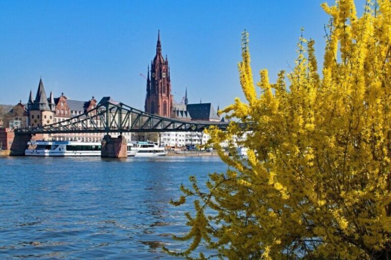 Frankfurt: Classic Public Walking Tour - Exploring Frankfurts Highlights in Detail