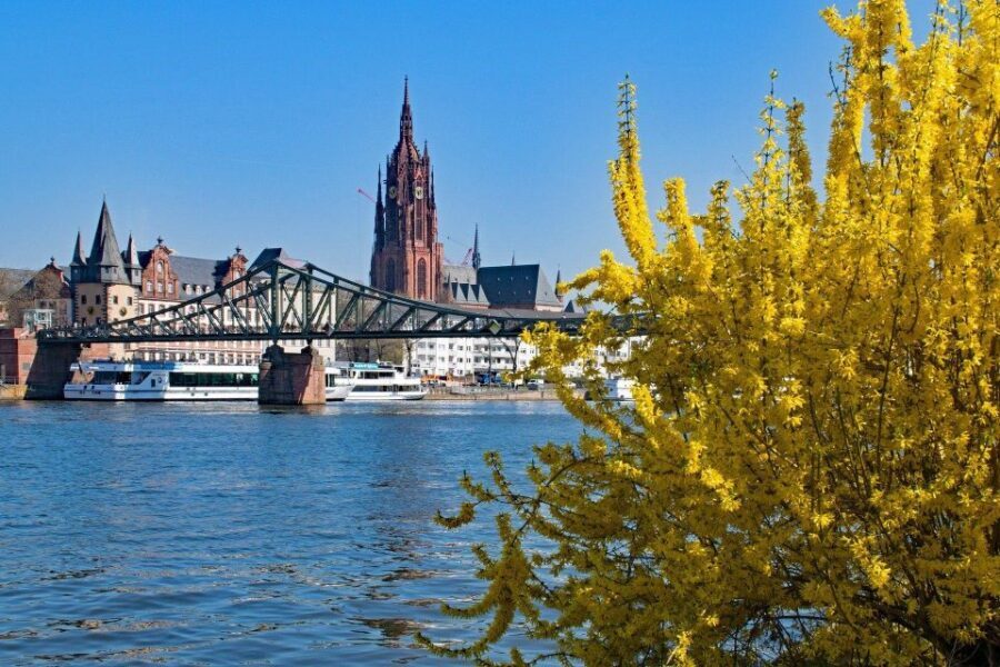 Frankfurt: Classic Public Walking Tour - Exploring Frankfurts Highlights in Detail
