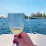 Frankfurt: Private Sport Boat Tour - Speed, Fun & Skyline - Why the Reviews Speak Volumes