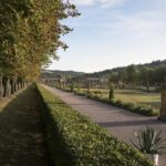 Frankfurt: Romantic Road & Rothenburg ob der Tauber Tour - Röttingen — A Quaint Wine Village