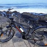 Frankfurt: Unique E-Bikes Tours - The Itinerary: What to Expect