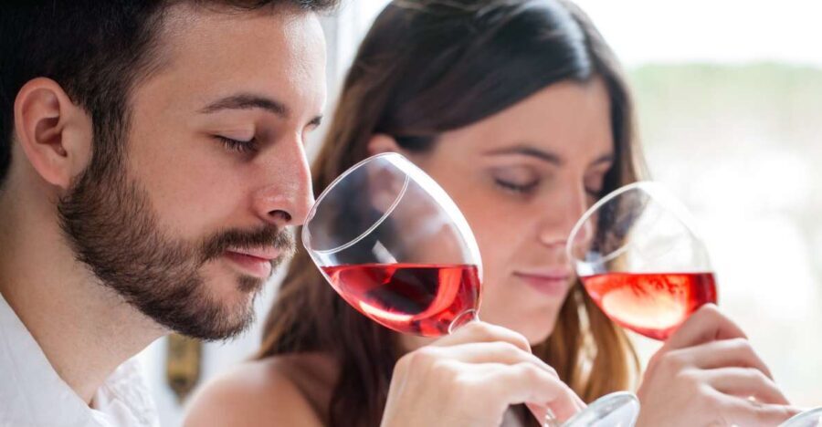 Frankfurt Wine Tasting Tour with a Wine Expert - Who Should Book This Tour?