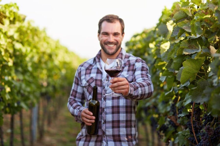 Frascati Private Tour w/ Lunch & Wine Tasting in a Vineyard - A Deep Dive into the Frascati Private Tour