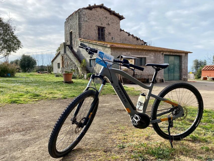 Frascati: Tour in E-Bike with Wine Tasting - What the Reviews Say