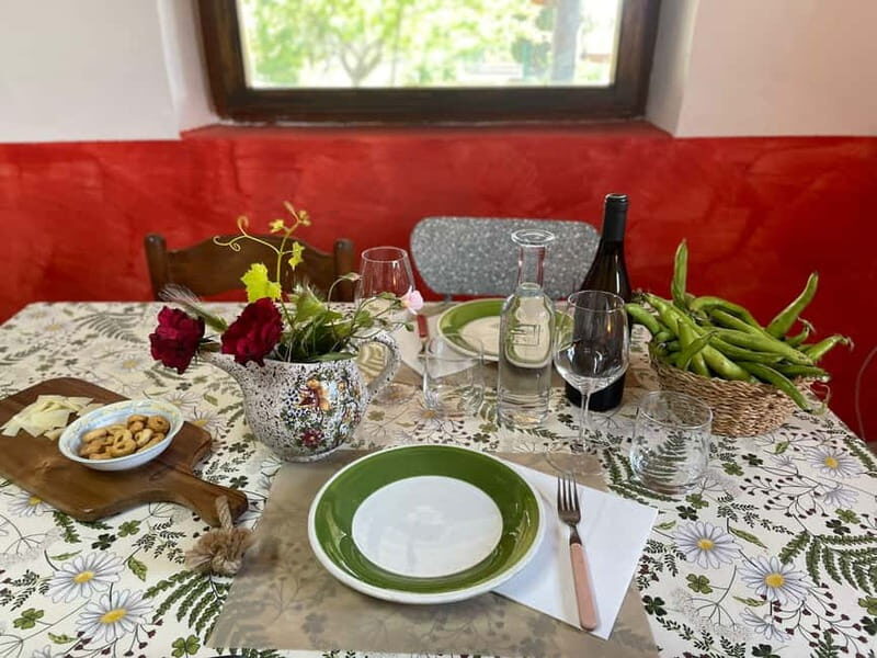 Frascati: Vineyard Wine Tasting Tour with Snacks - Practical Details and Considerations