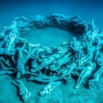 Freediving at Museum Atlantico - Who Will Love This Tour?