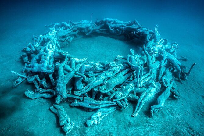 Freediving at Museum Atlantico - Who Will Love This Tour?