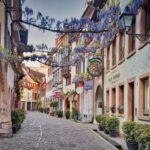 Freiburg: Gässle, Bächle and More City Tour - What to Expect at Each Stop