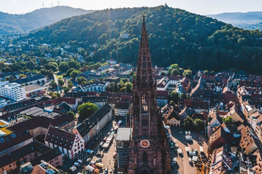 Freiburg: Veni, vidi, vino - wine hike and tasting - Who Will Love This Tour?