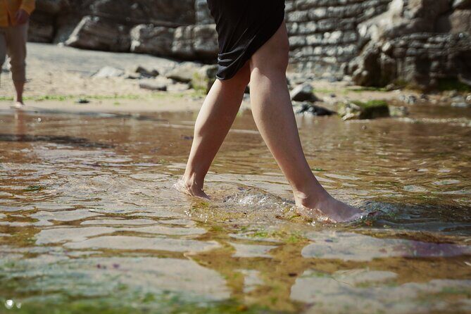 FRENCH BASQUE COAST Hike - Private Outdoor and Gastronomic Adventure - Who Will Love This Tour?