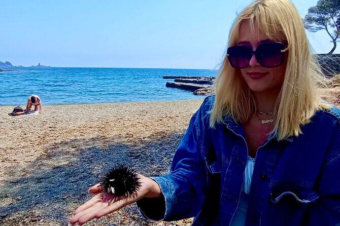 French Riviera Colorado & Var West by Train (from Cannes/Nice) - An In-Depth Look at the Itinerary and Highlights