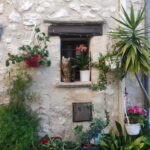 French Riviera Full Day Tour - The Transport and Group Size