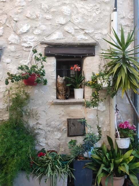 French Riviera Full Day Tour - The Transport and Group Size