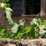 French Riviera: Provencal Wine Tour - Summing It Up: Is This Tour Worth It?
