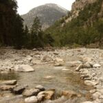 From Agia Galini/Matala: Samaria Gorge Hiking Tour - What Travelers Say