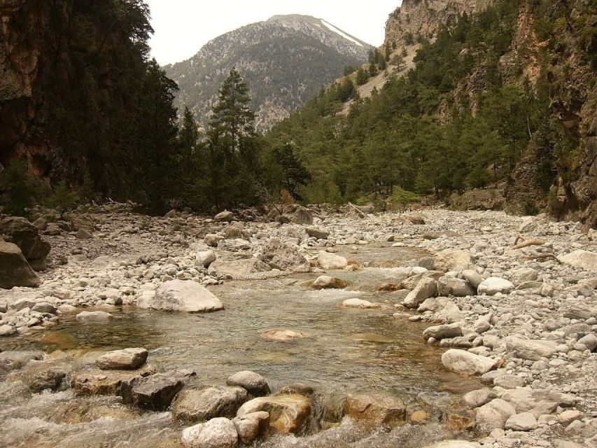 From Agia Galini/Matala: Samaria Gorge Hiking Tour - What Travelers Say