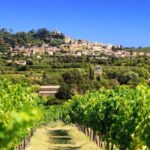 From Aix-en-Provence: Châteauneuf du Pape Wineries Day Trip - What Makes This Tour Stand Out