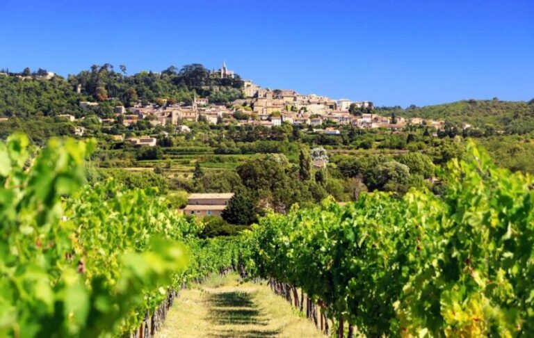 From Aix-en-Provence: Châteauneuf du Pape Wineries Day Trip - What Makes This Tour Stand Out