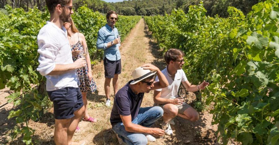 From Aix-en-Provence: Half-day Wine Tour Cezanne Countryside - What Makes This Tour Stand Out