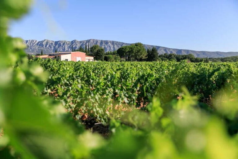 From Aix en Provence: Half-day Wine Tour in Provence - Exploring the Itinerary