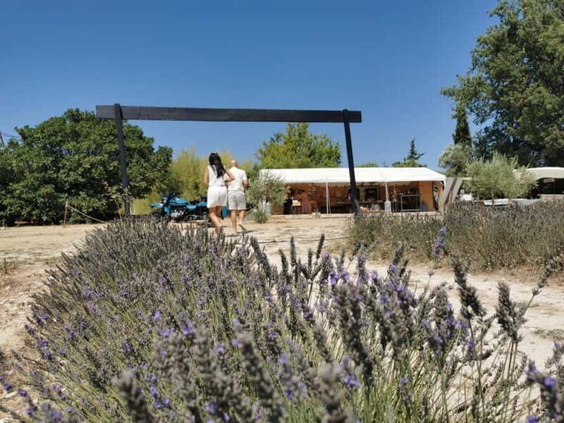 From Aix-en-Provence : Lavender & Wine Sidecar Tour - What You Can Expect from This Tour