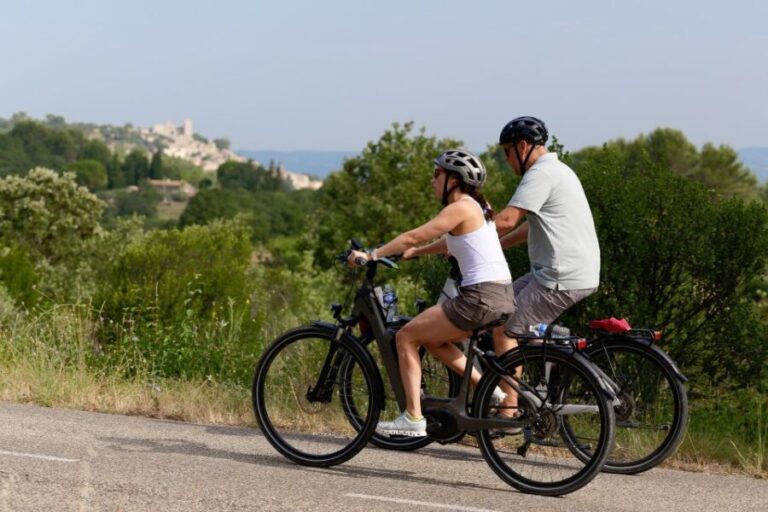 From Aix-en-Provence: Luberon Region E-Bike Full-Day tour - The Journey Through Bonnieux and the First Sightings