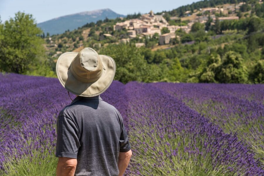 From Aix-en-Provence: Sault Lavender & Gordes Full-Day Tour - What Makes This Tour Stand Out?
